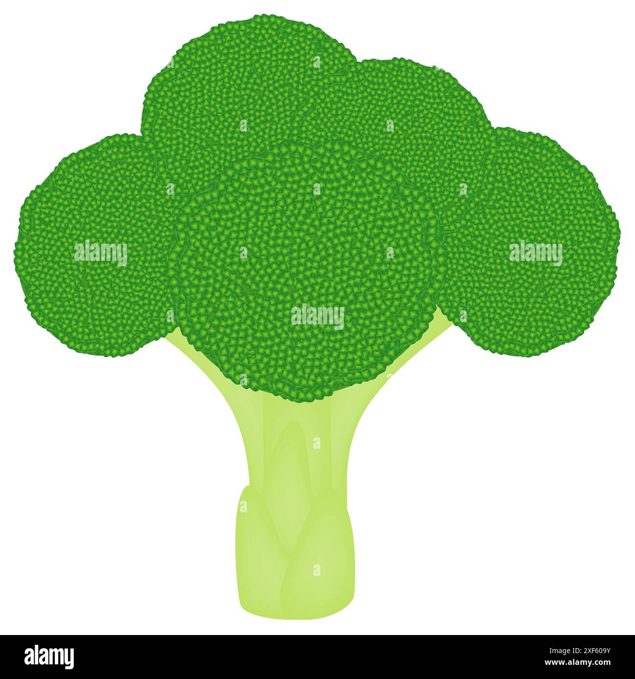 Close view on vegetable Stock Vector Images - Alamy