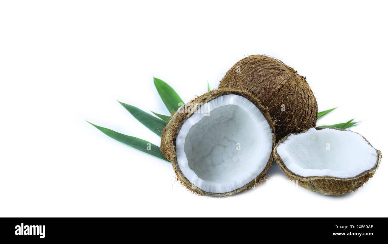 A close-up photograph of a mature and open coconuts isolated on a white ...