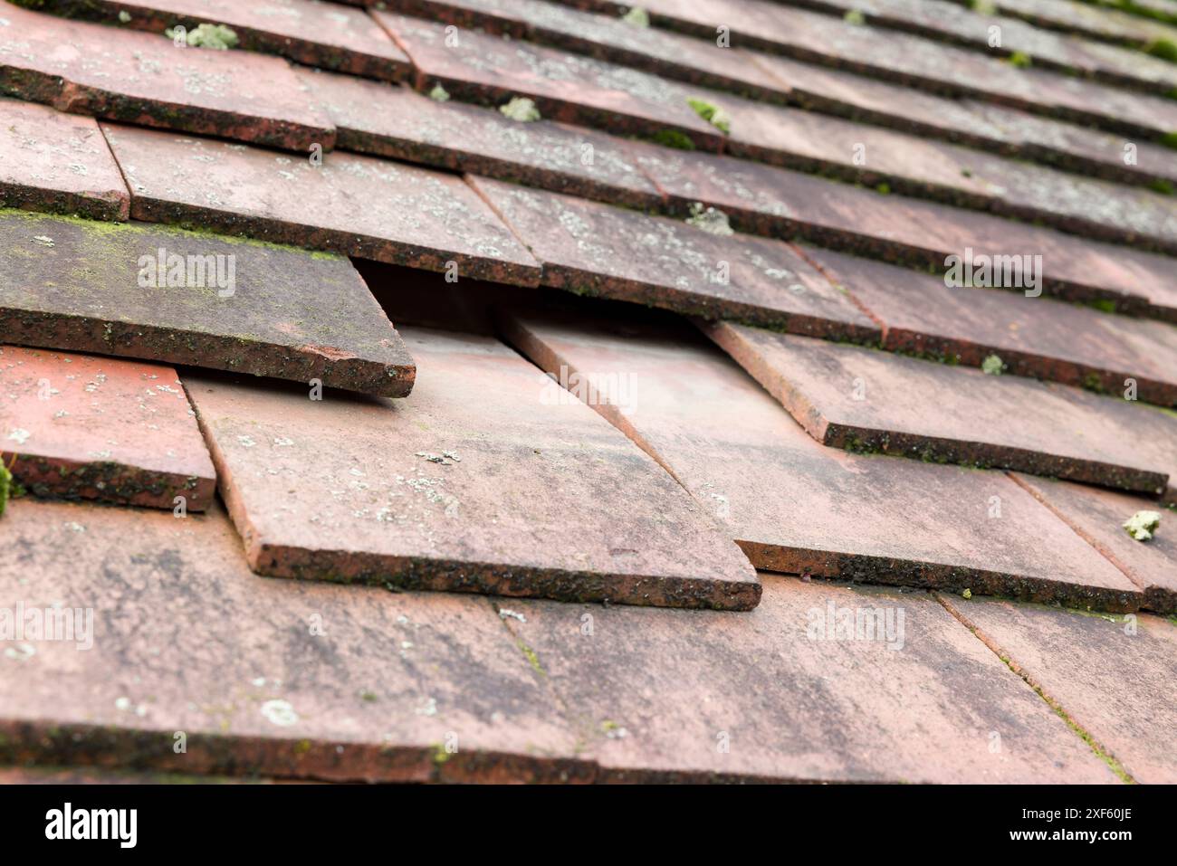 Missing and slipped plain clay roof tiles on a pitched roof of an old ...
