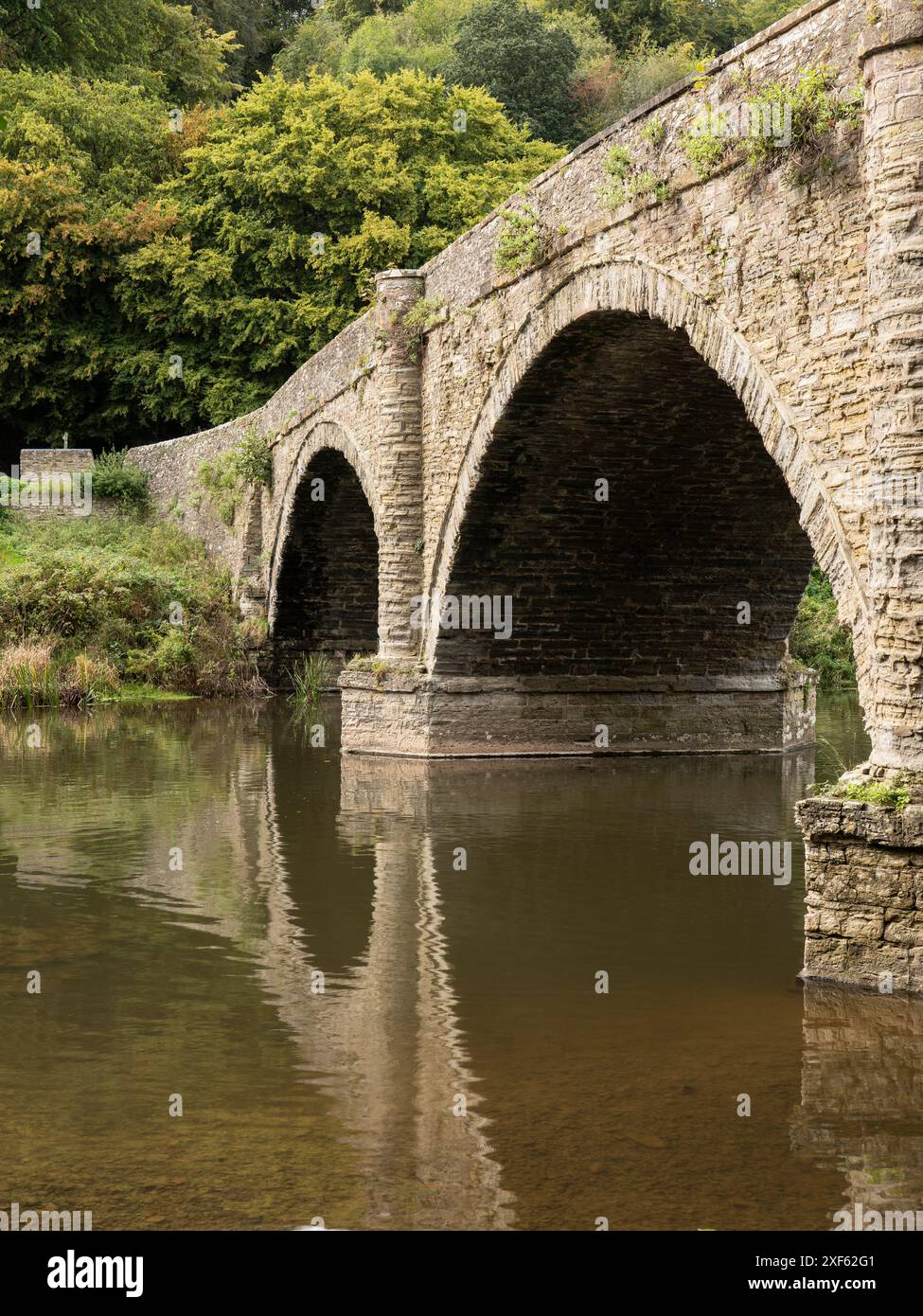 The River Teme at Ludlow in Shropshire, Engl Stock Photo - Alamy