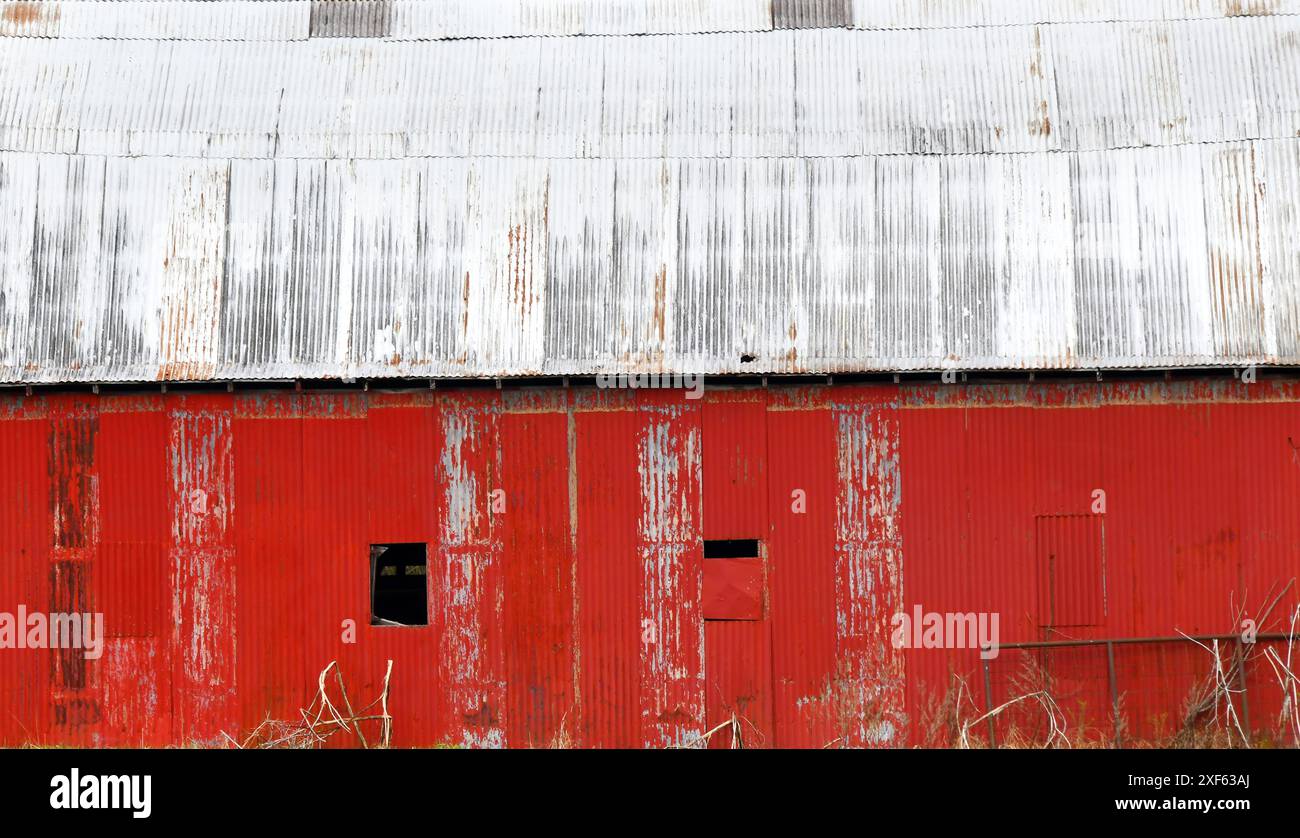 Background image shows red tin barn. Roof is also tin with faded white ...