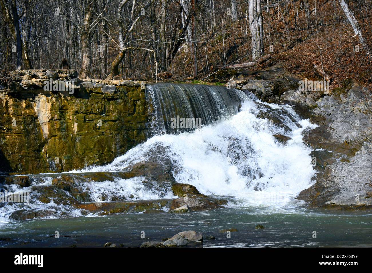 Side of the Amis Mill Dam is in need of repair. Side of Dam is breaking down with age and ...