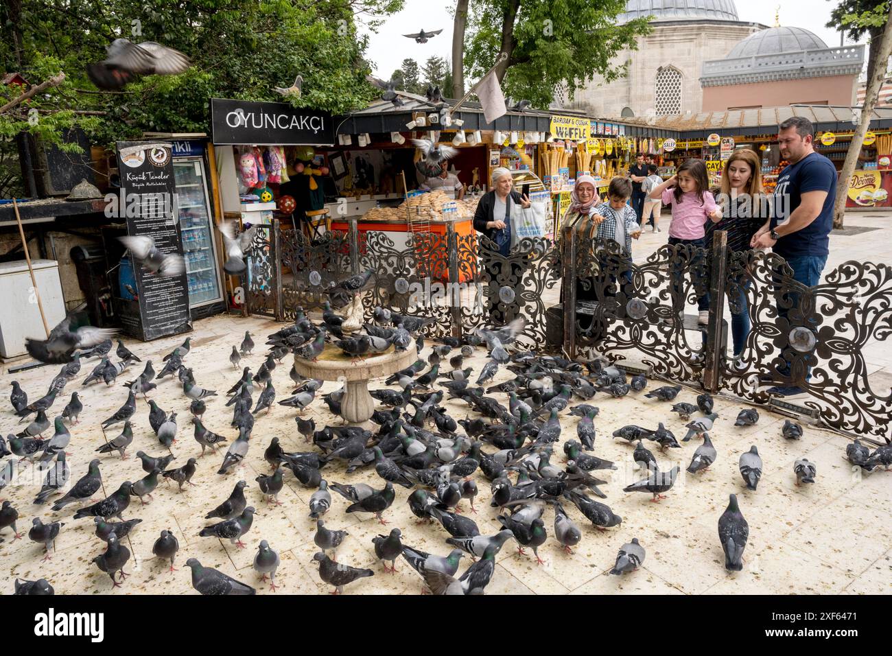 Türkei, Istanbul, Eyüpsultan, Platz zum Füttern der Tauben Stock Photo ...