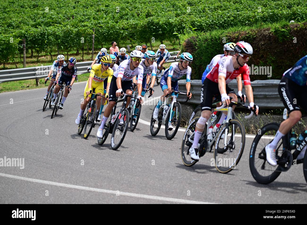 Tour de France 2024 Stage 3 Piacenza to Turin. Tadej Pogacar for team ...