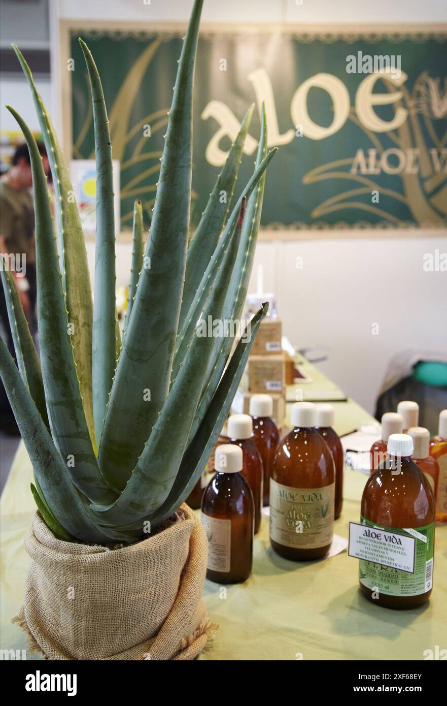Aloe vera in a organic products stand, Bioterra (Organic products ...