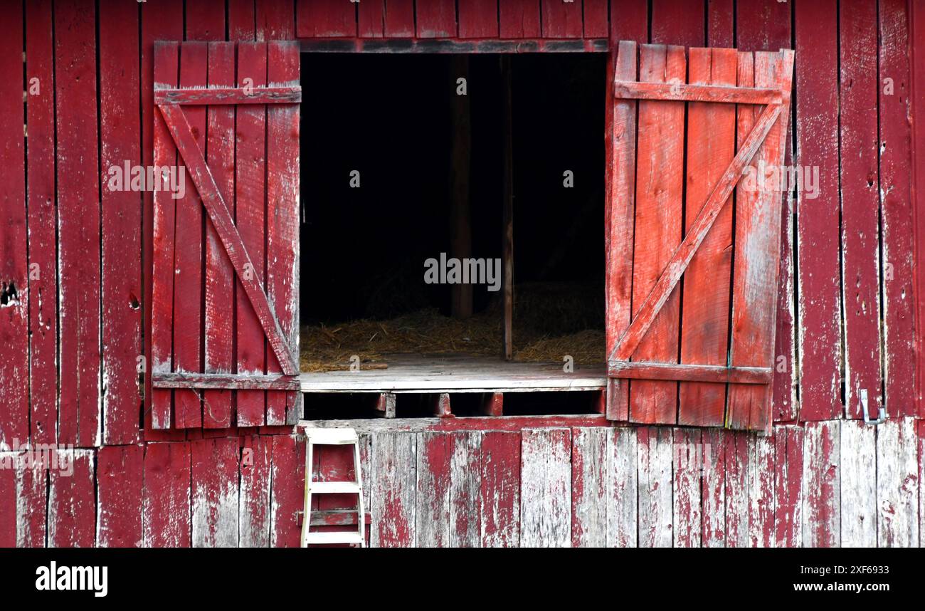 Red, wooden barn has loft open and ladder leader to it. Barn is ...