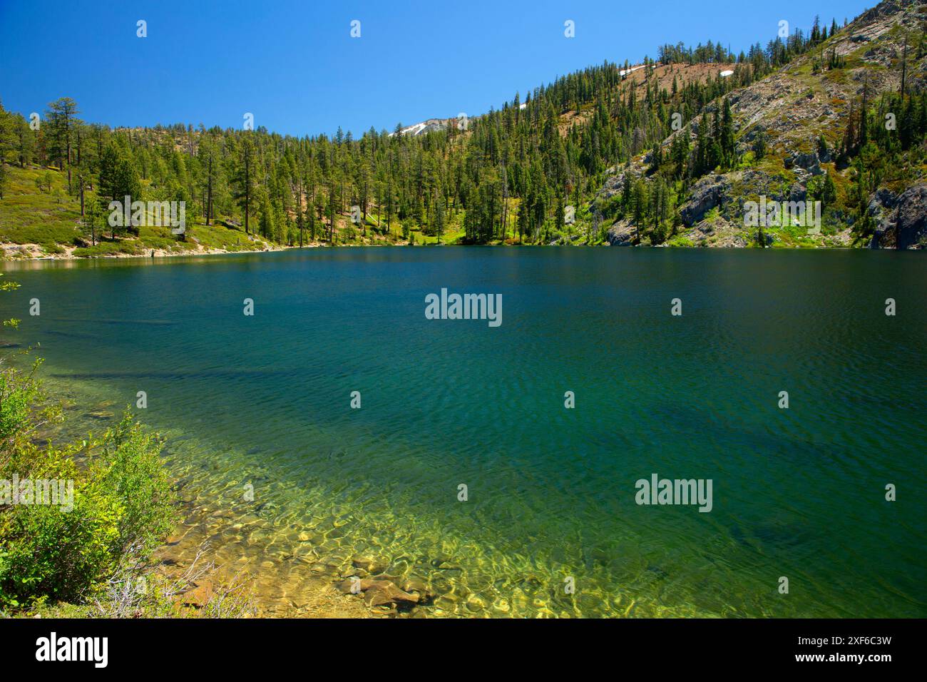 Kangaroo Lake, Klamath National Forest, California Stock Photo - Alamy