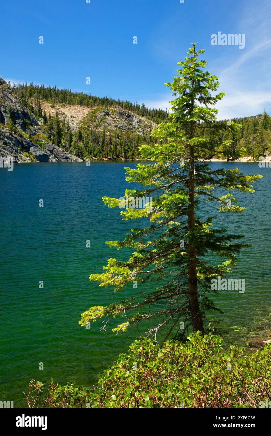 Kangaroo Lake, Klamath National Forest, California Stock Photo - Alamy