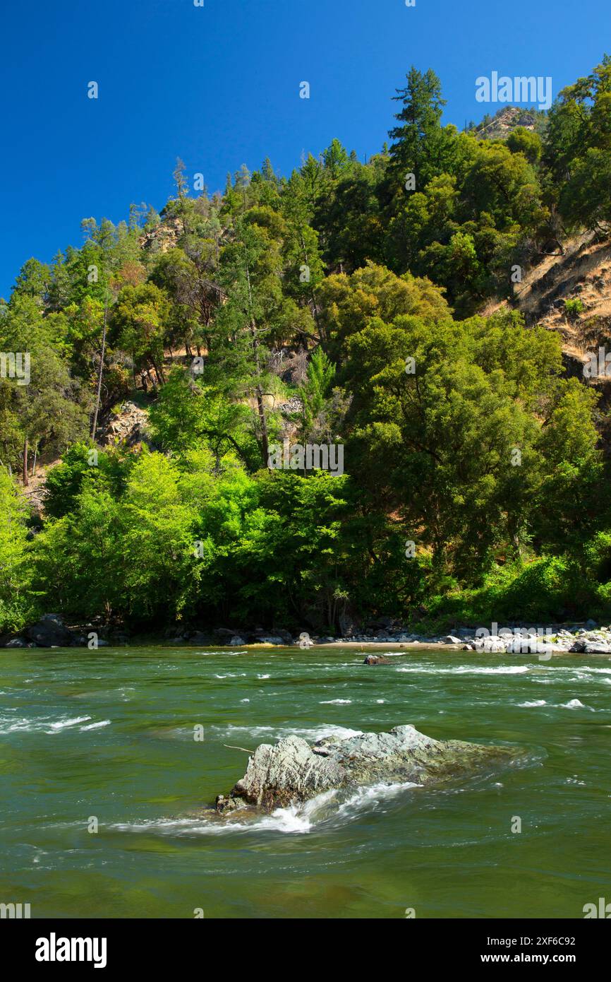 Trinity Wild and Scenic River from Gray Falls Trail, Six Rivers ...