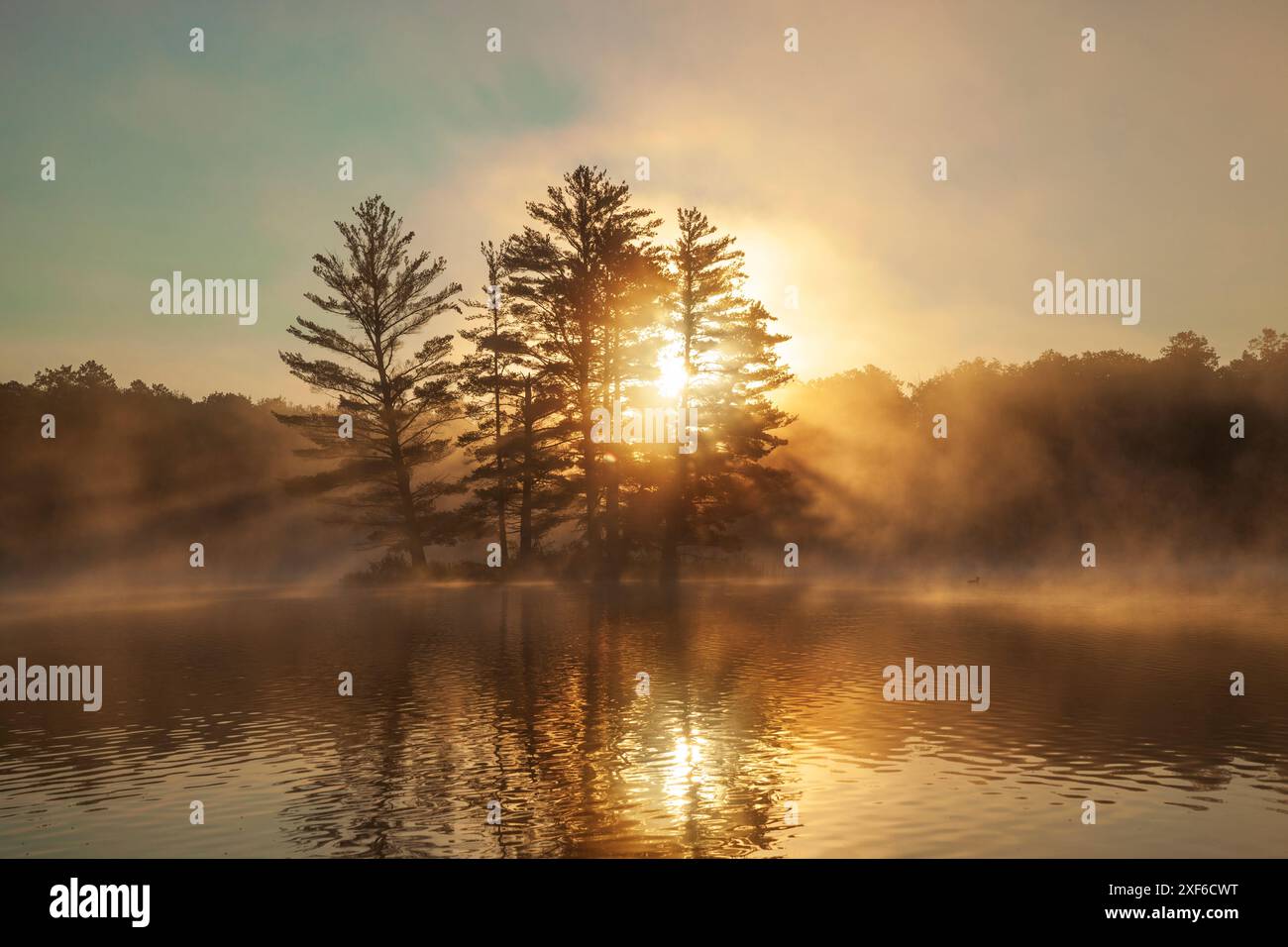 Small island with pine trees fog and a sunburst at dawn on a northern ...