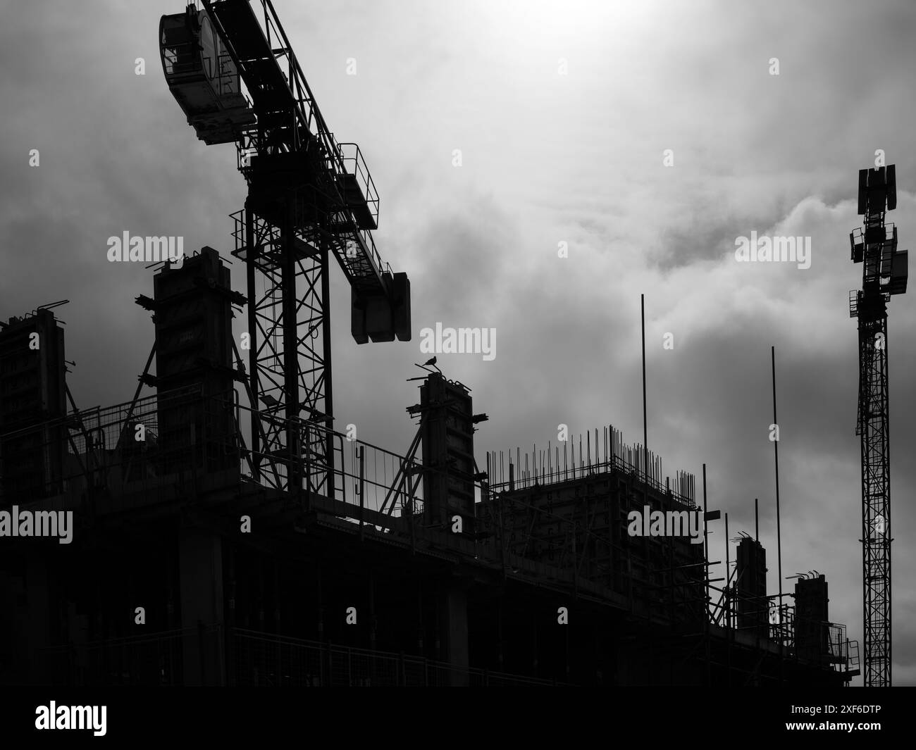 Cladding plans Black and White Stock Photos & Images - Alamy