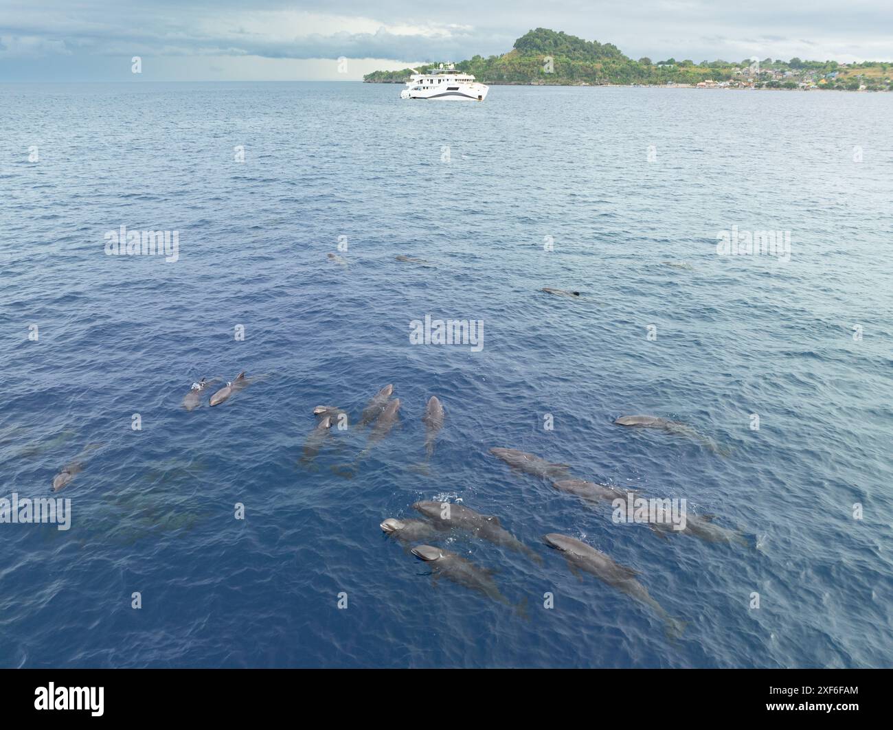 A small pod hi-res stock photography and images - Alamy