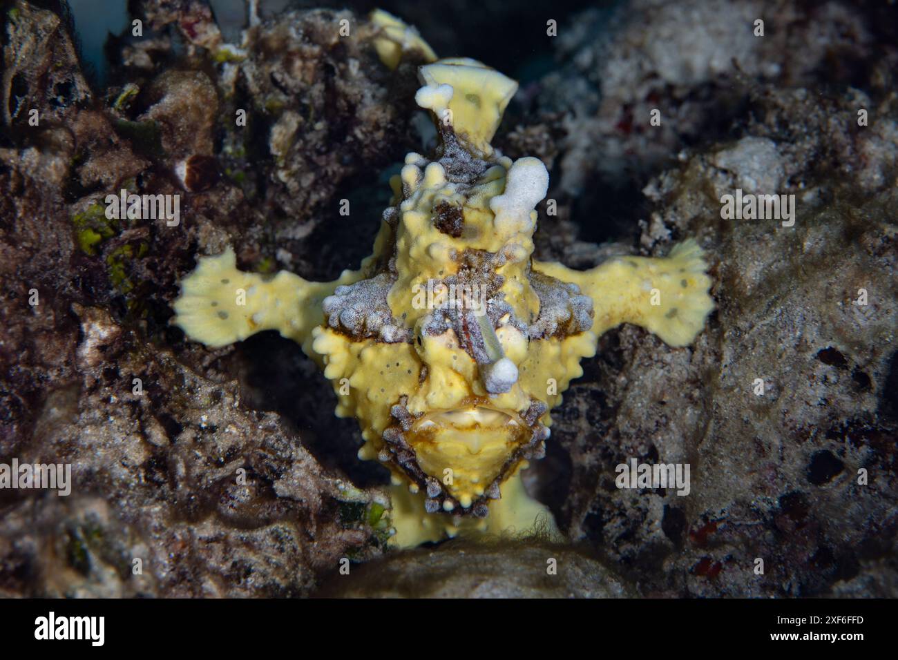 Black rock well hi-res stock photography and images - Alamy