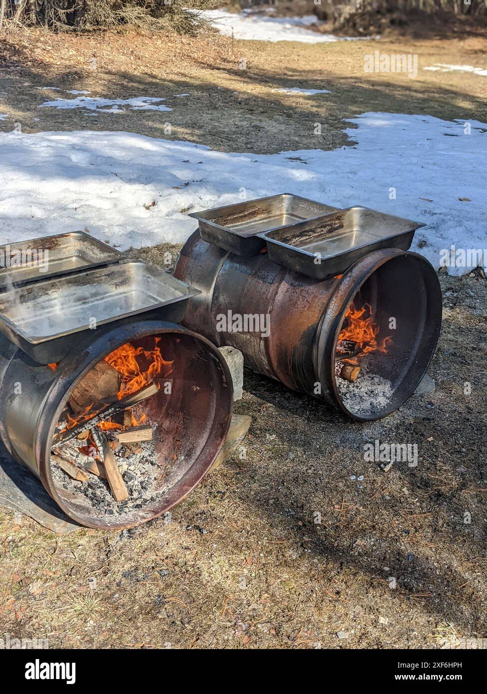 The making of a Canadian maple syrup, tapping trees Stock Photo - Alamy
