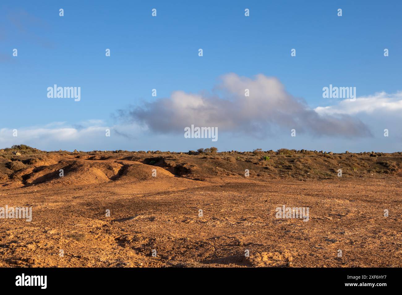 Orange color of a sandy soil, full of gravel and bigger stones. Color ...
