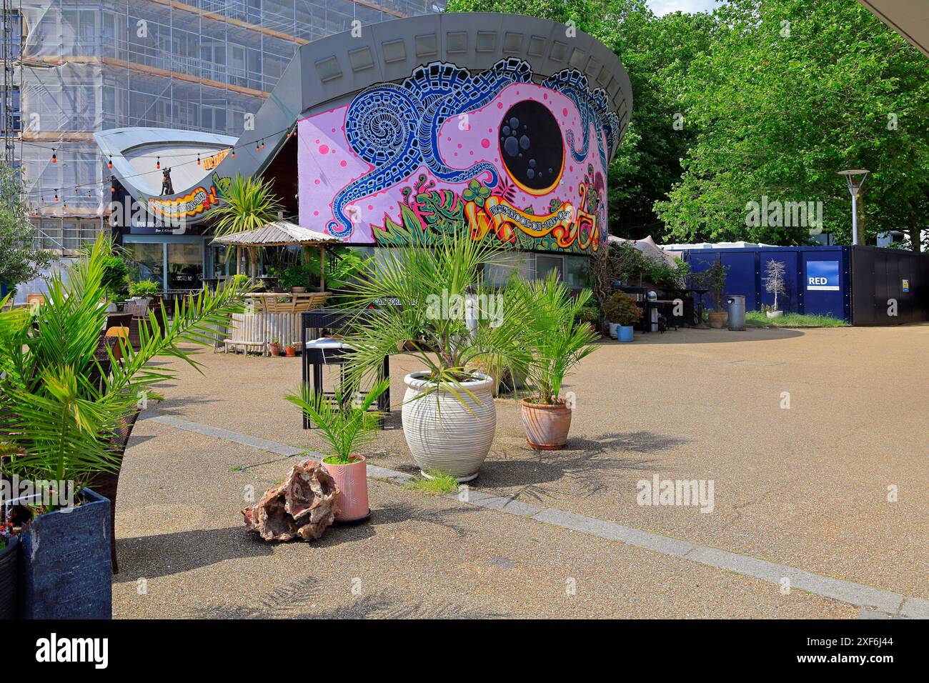 The New Moon on the Quay - Colourful, fun tapas bar, Bristol Harbour ...