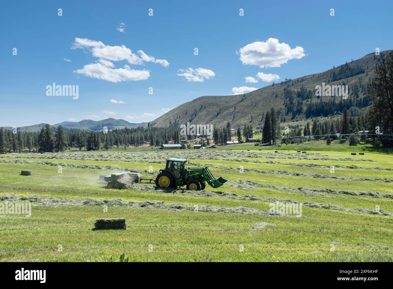 WA24945-00-....WASHINGTON -Harvesting hay in the Methow Valley Stock ...