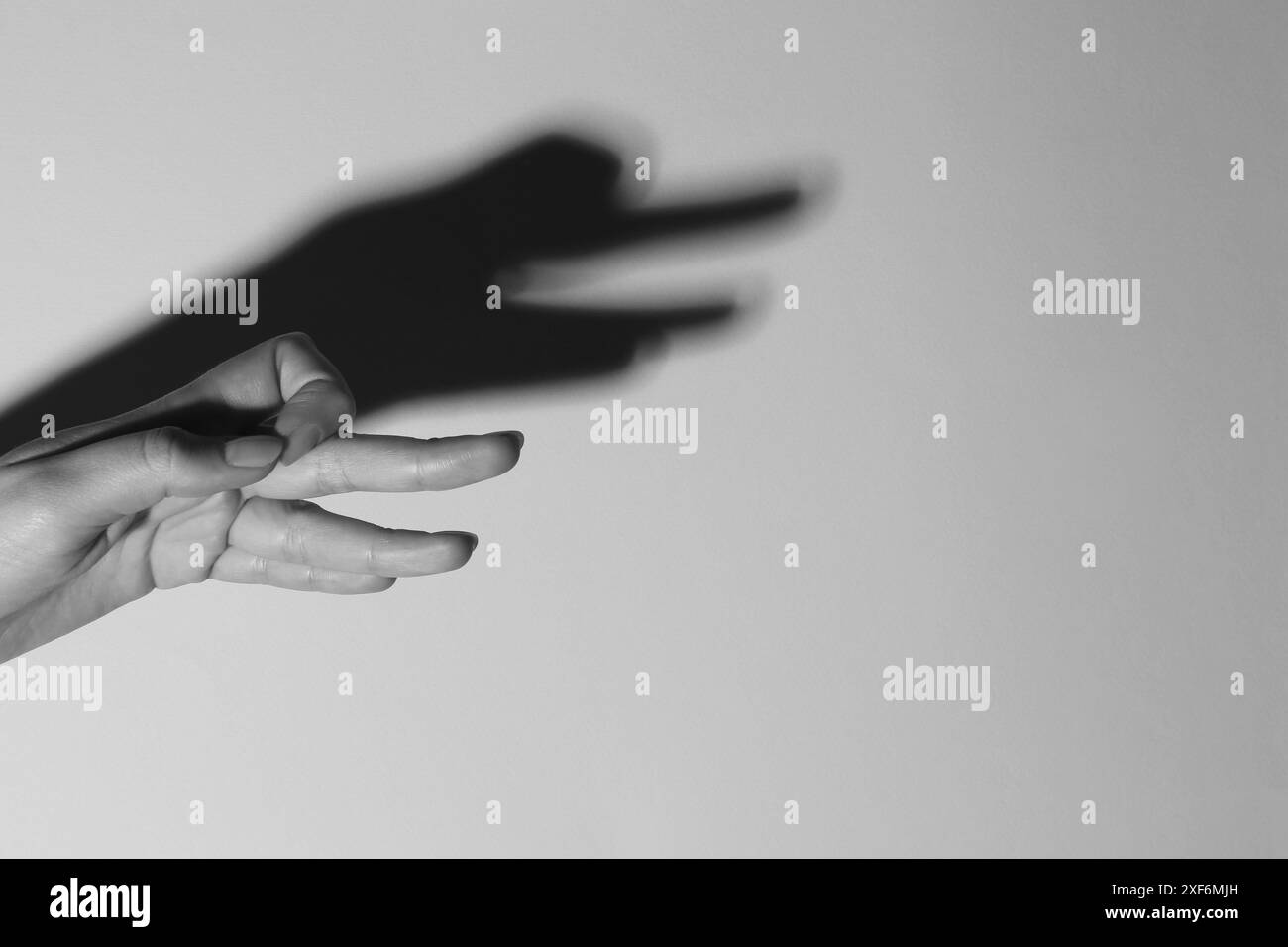 White goose female Black and White Stock Photos & Images - Alamy