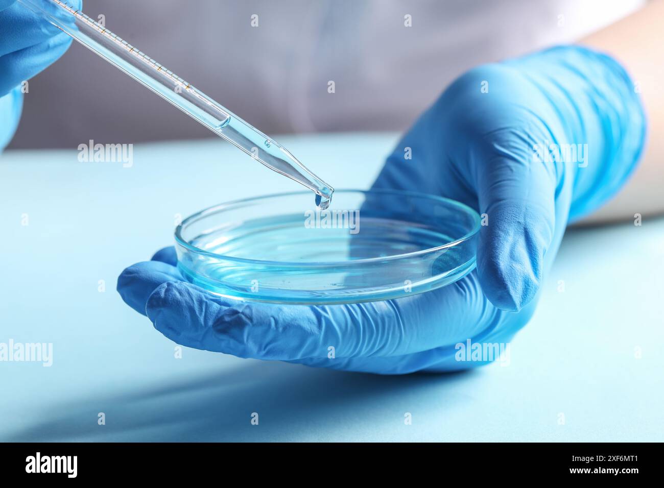 Doctor dripping liquid from pipette into petri dish at light table ...