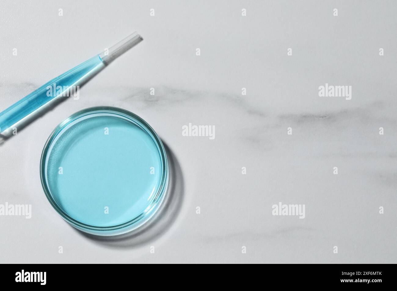 Pipette and petri dish with liquid on white marble table, flat lay ...
