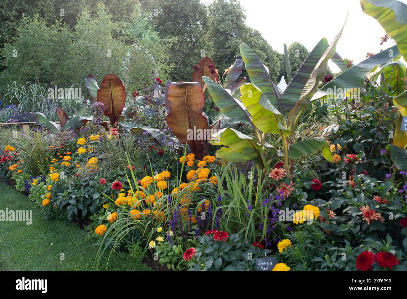 East Molesey, UK. 1st July, 2024. The RHS Britain in Bloom 60th ...