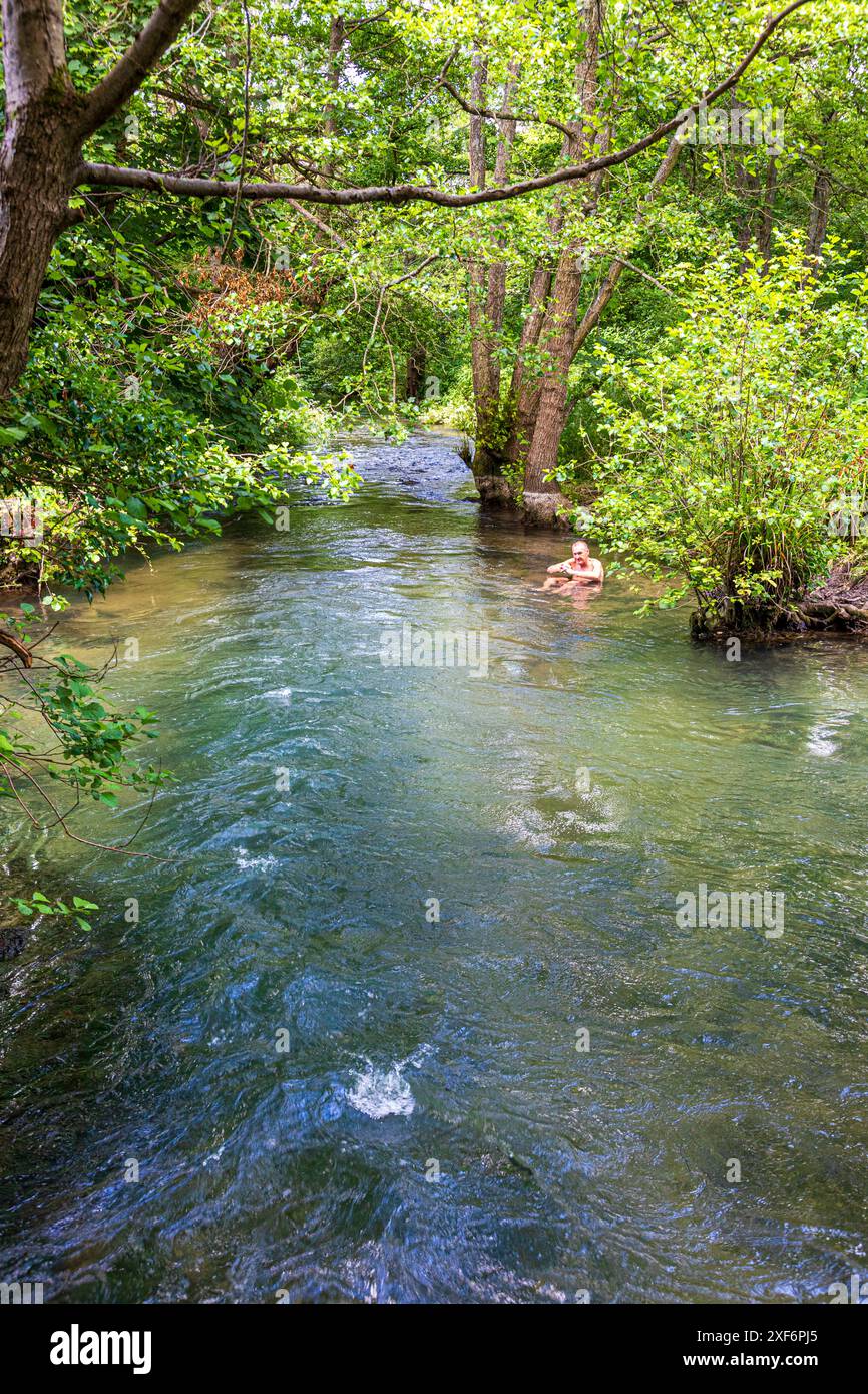 A member of the Bowbridge Bathers cooling off on a hot summers day in ...