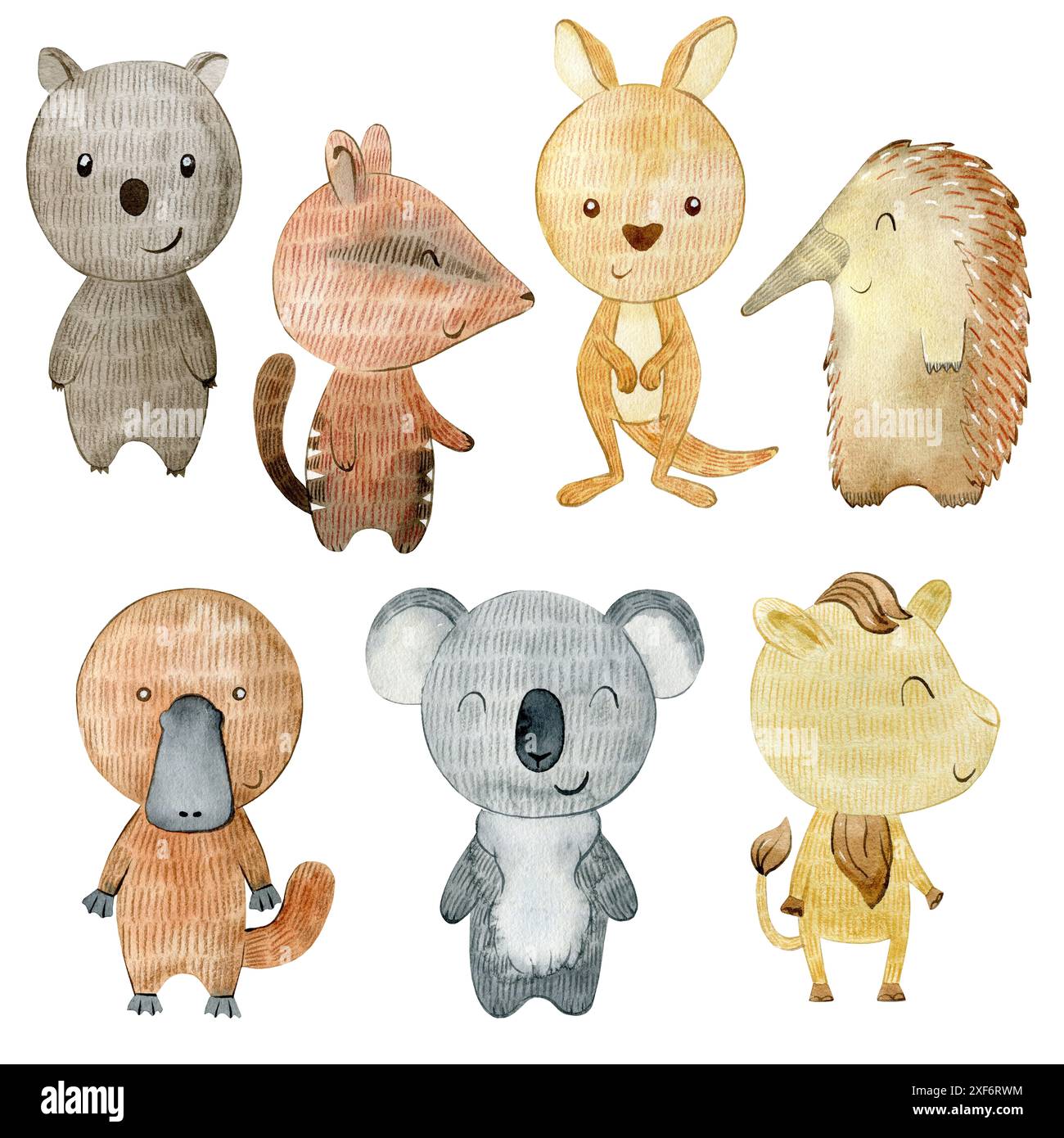 Australian animals set. Watercolor Illustration. Cute cartoon ...