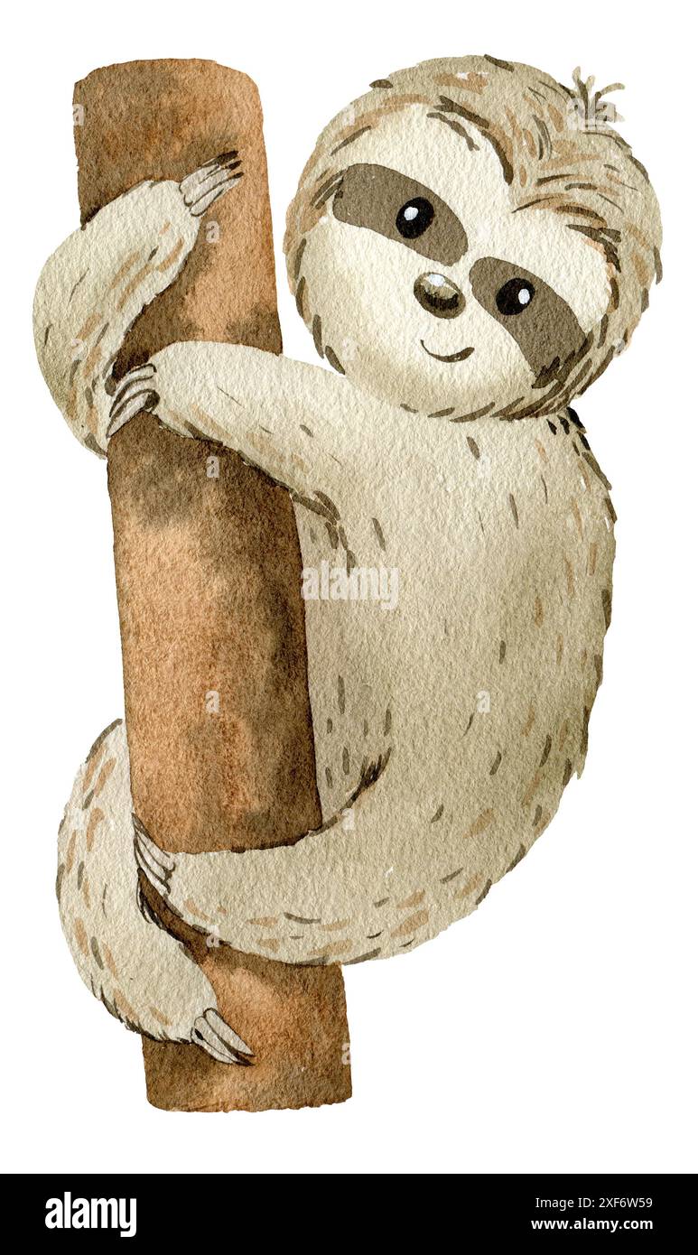Cute watercolor cartoon sloth. Hand drawn illustration Stock Photo - Alamy