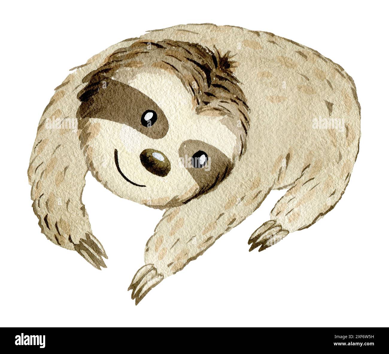 Cute cartoon sloth. Watercolor Hand drawn Illustration Stock Photo - Alamy