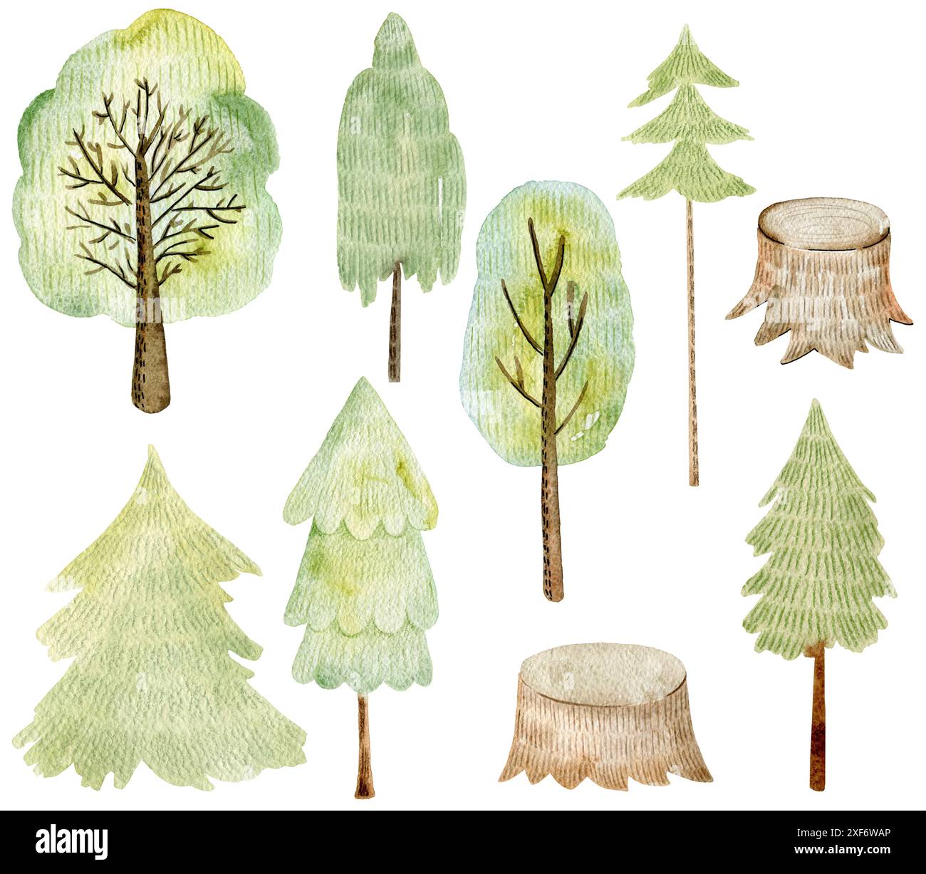 Set of watercolor forest trees. Hand drawn illustration Stock Photo - Alamy