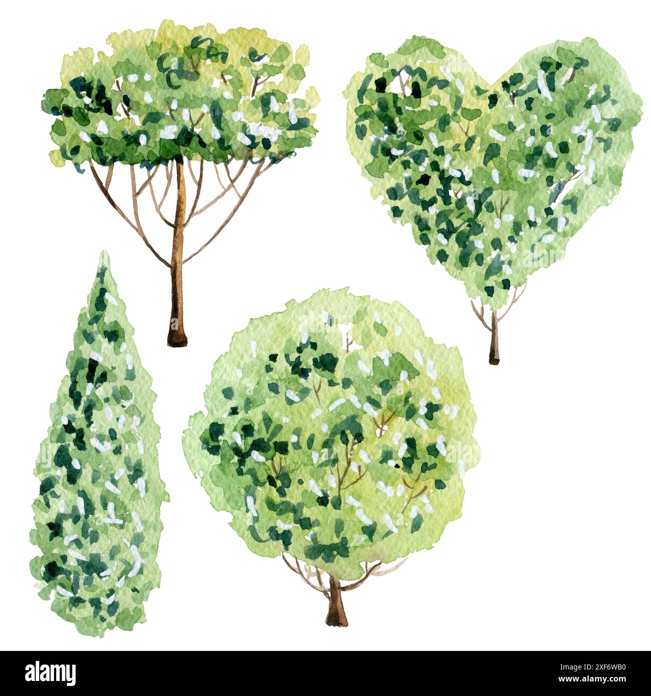 Set of watercolor trees. Hand drawn illustration Stock Photo - Alamy