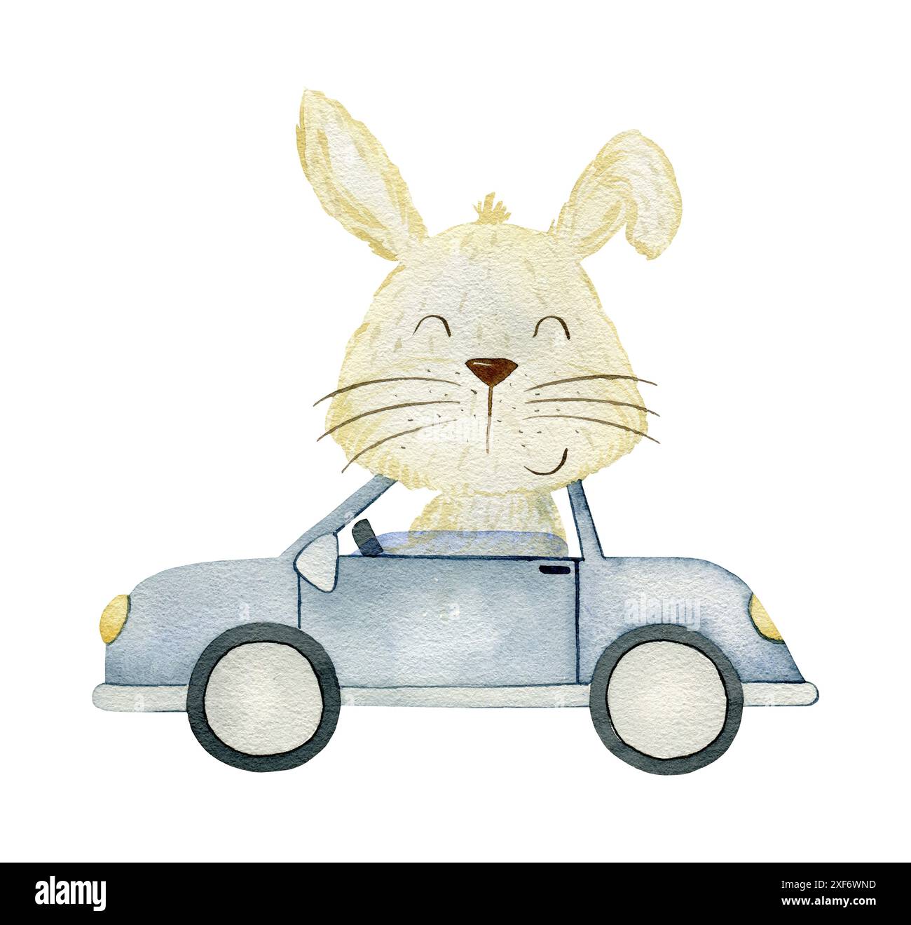 Watercolor illustration. Rabbit rides in the car Stock Photo - Alamy