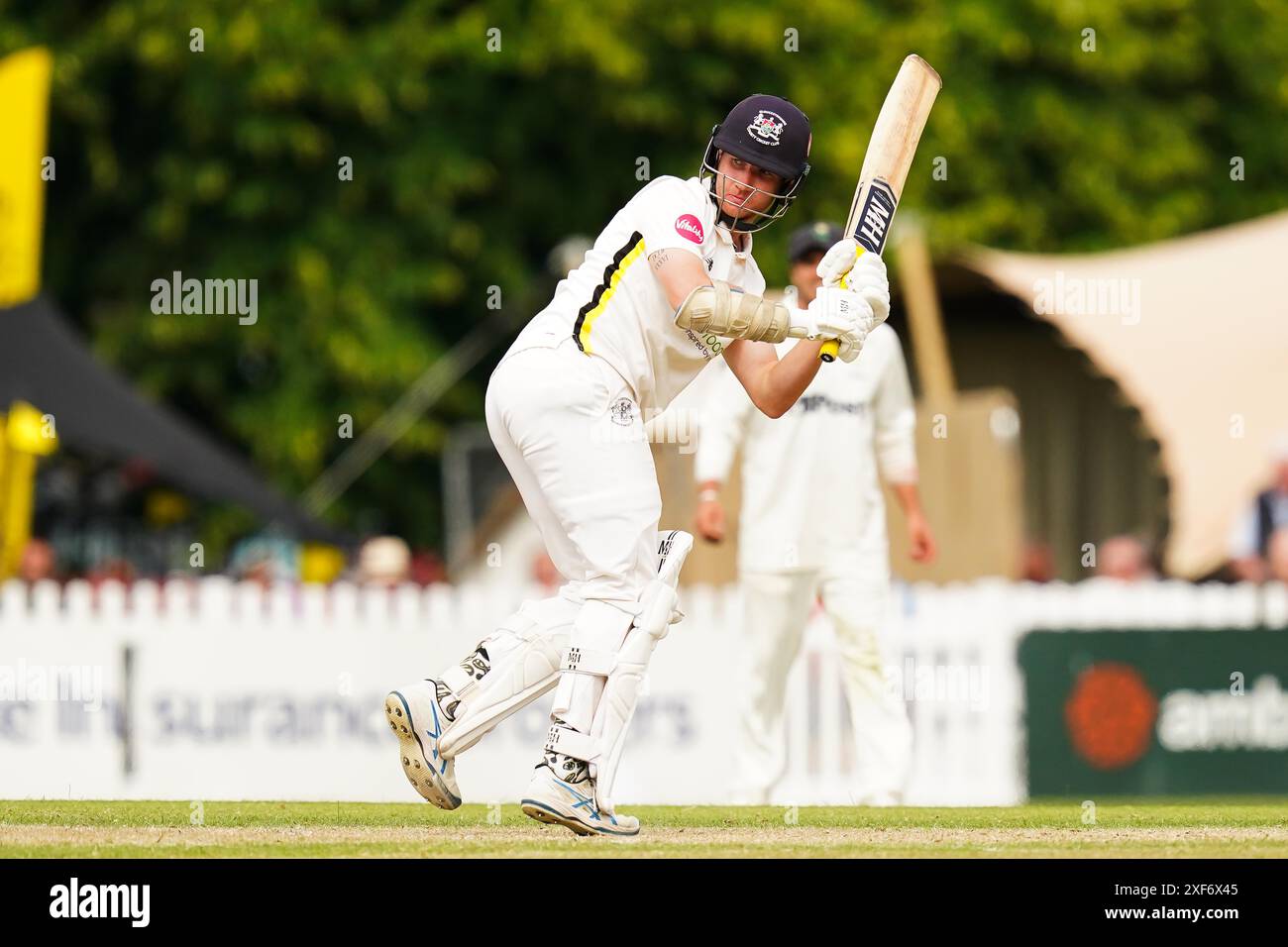 Cheltenham, UK, 1 July 2024. Gloucestershire's James Bracey batting ...