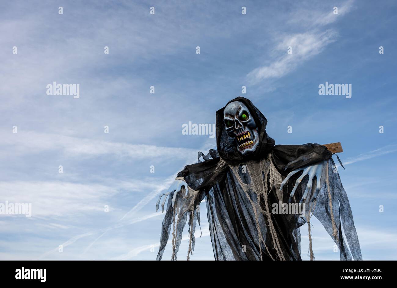 Human skeleton against blue sky and trees. Halloween decoration Stock Photo - Alamy