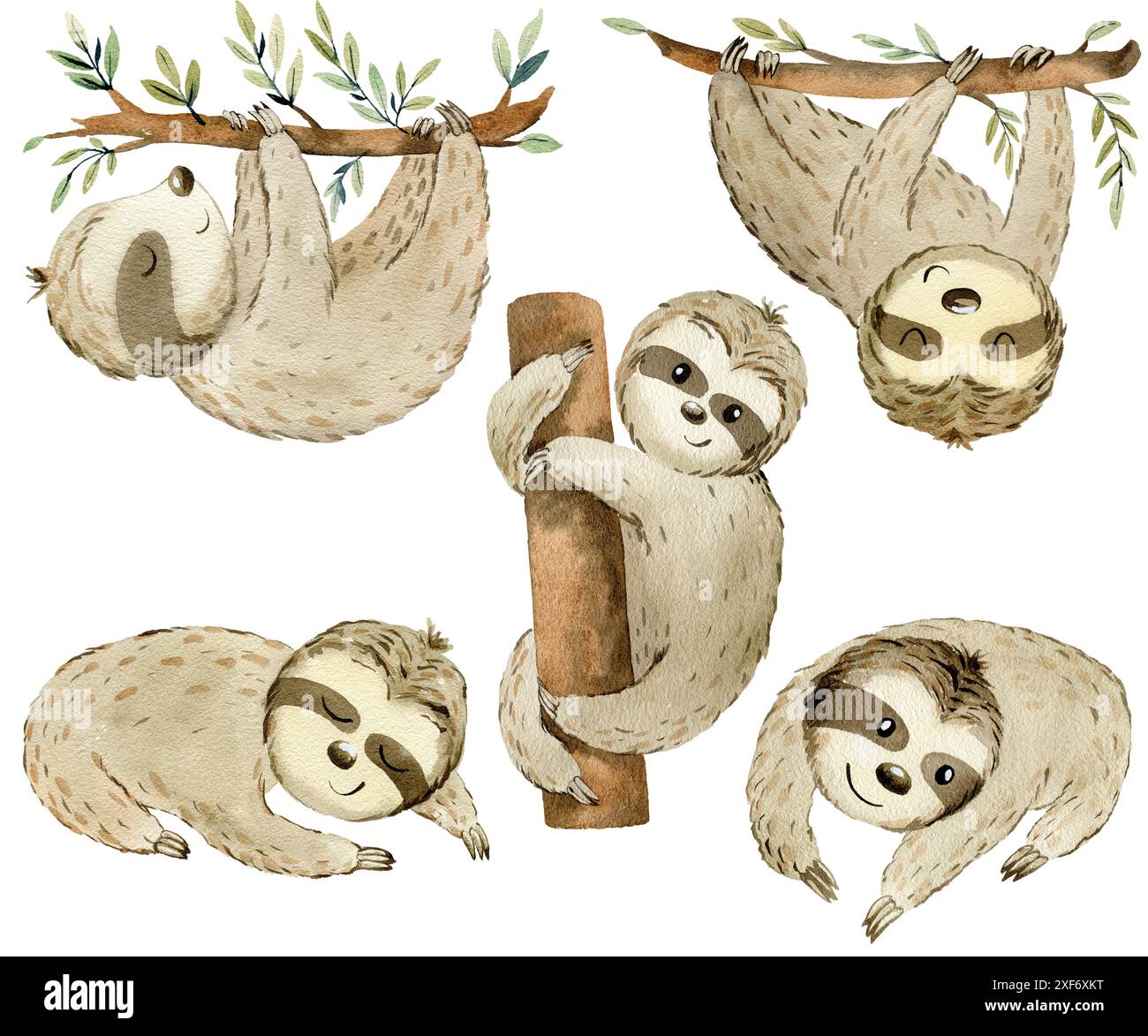 Sloths Set. Watercolor Illustration. Cute cartoon characters Stock Photo - Alamy