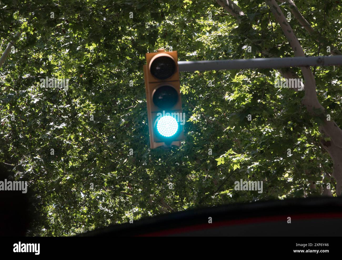 green traffic light signal on the street, symbol for going green ...