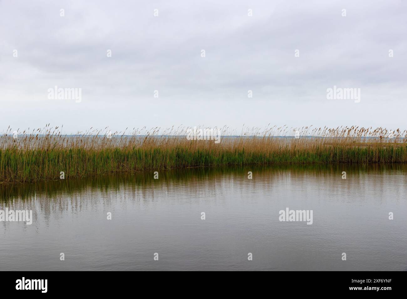 Landscape view of the Currituck Sound at Corolla's Historic Corella ...