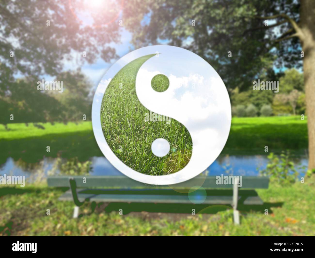 Yin and yang symbol with green grass against picturesque nature ...