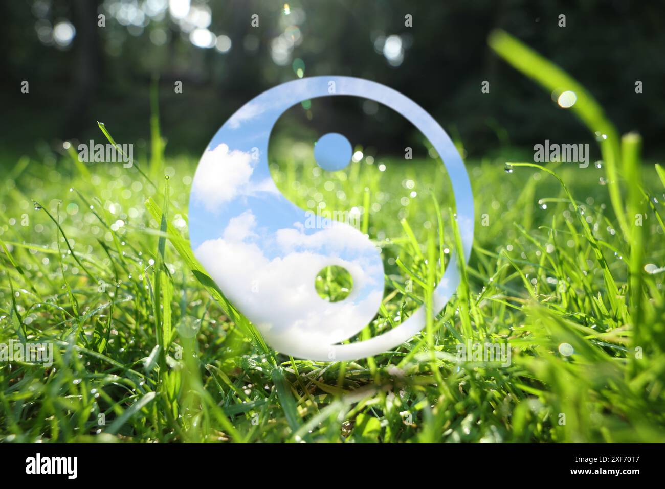 Yin-yang symbol and green grass with dew Stock Photo - Alamy
