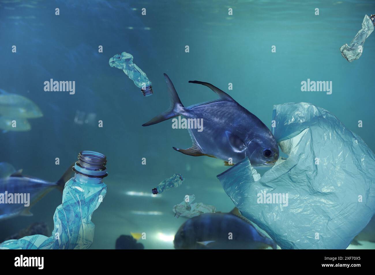 Fishes swimming among plastic garbage in sea. Environmental pollution ...