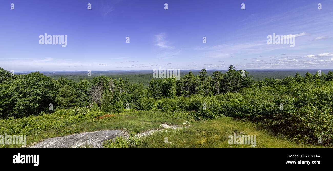 Agamenticus hi-res stock photography and images - Alamy