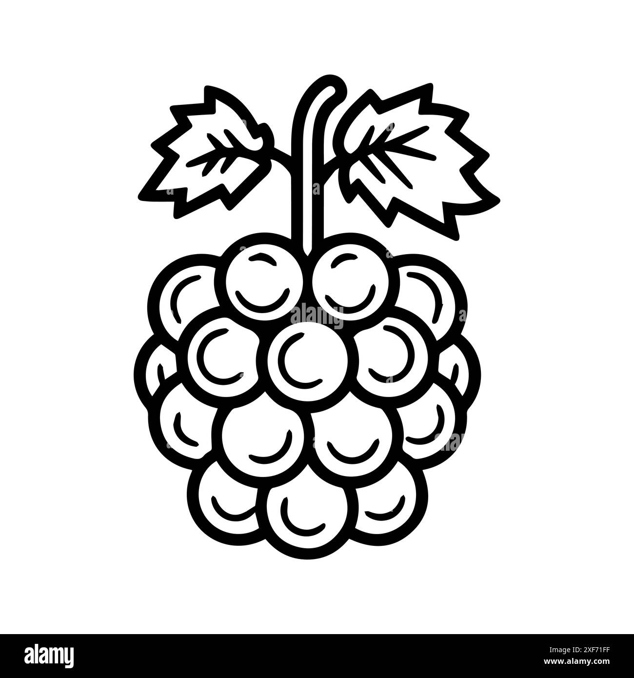 Grape blueberry Black and White Stock Photos & Images - Alamy