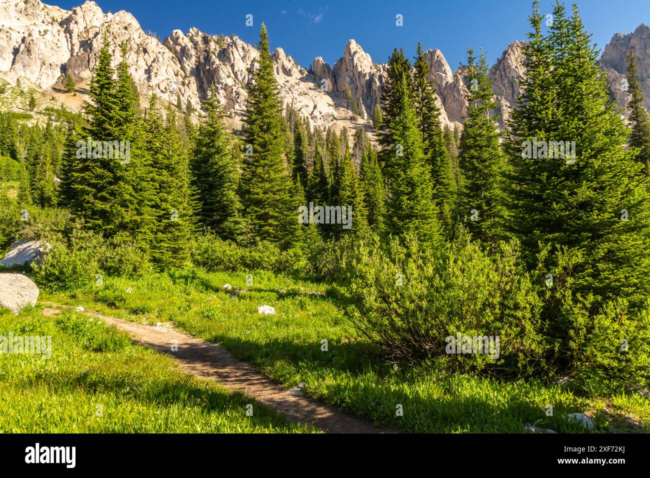 USA, Idaho, Sawtooth Wilderness. Trail in mountain and valley landscape ...
