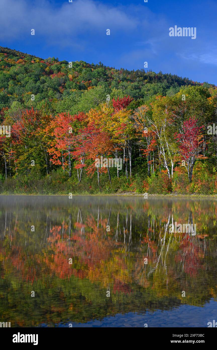 USA, Maine. Colorful foliage reflected in South Branch Pond, Baxter ...