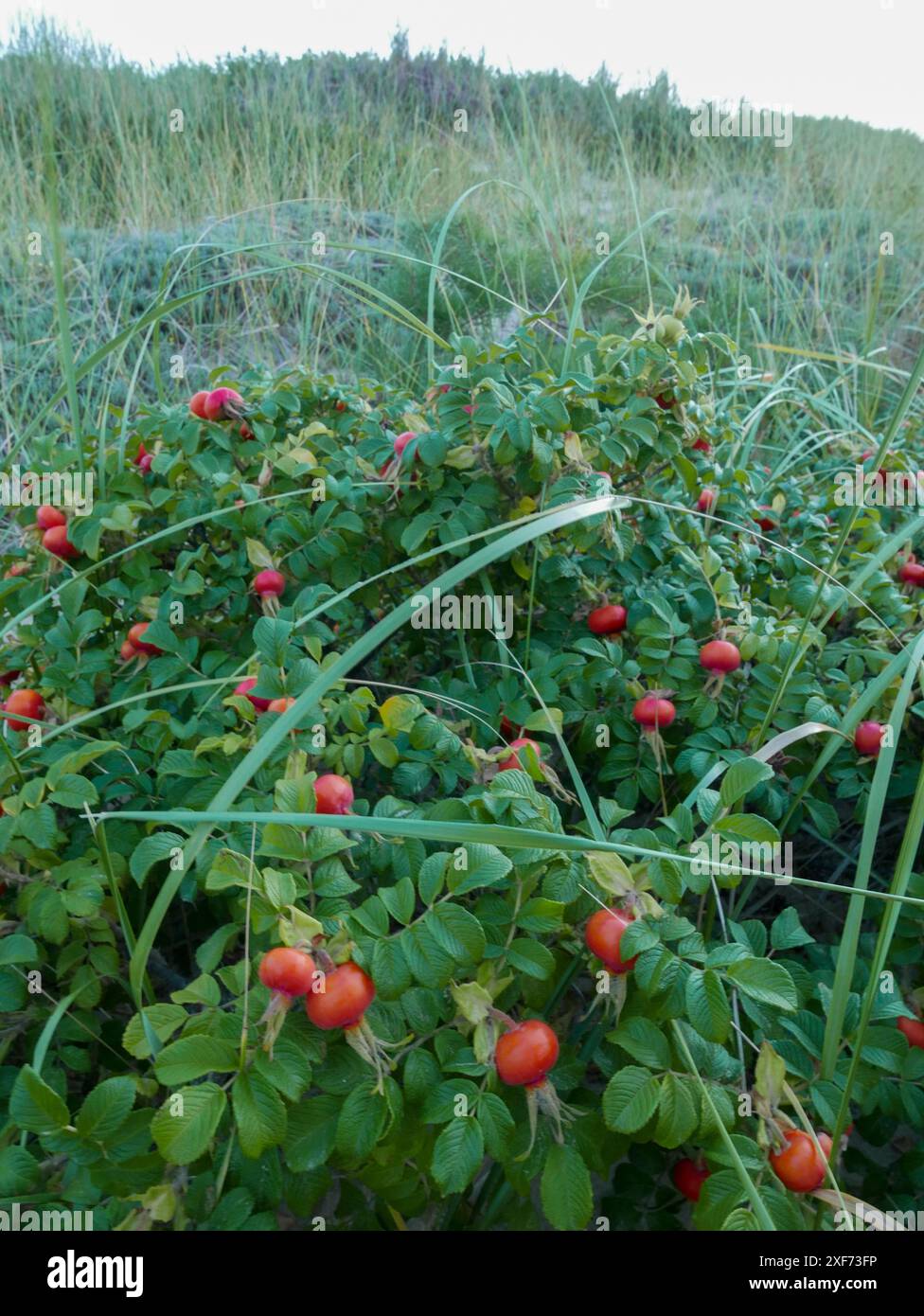 Rob sheppard hi-res stock photography and images - Alamy