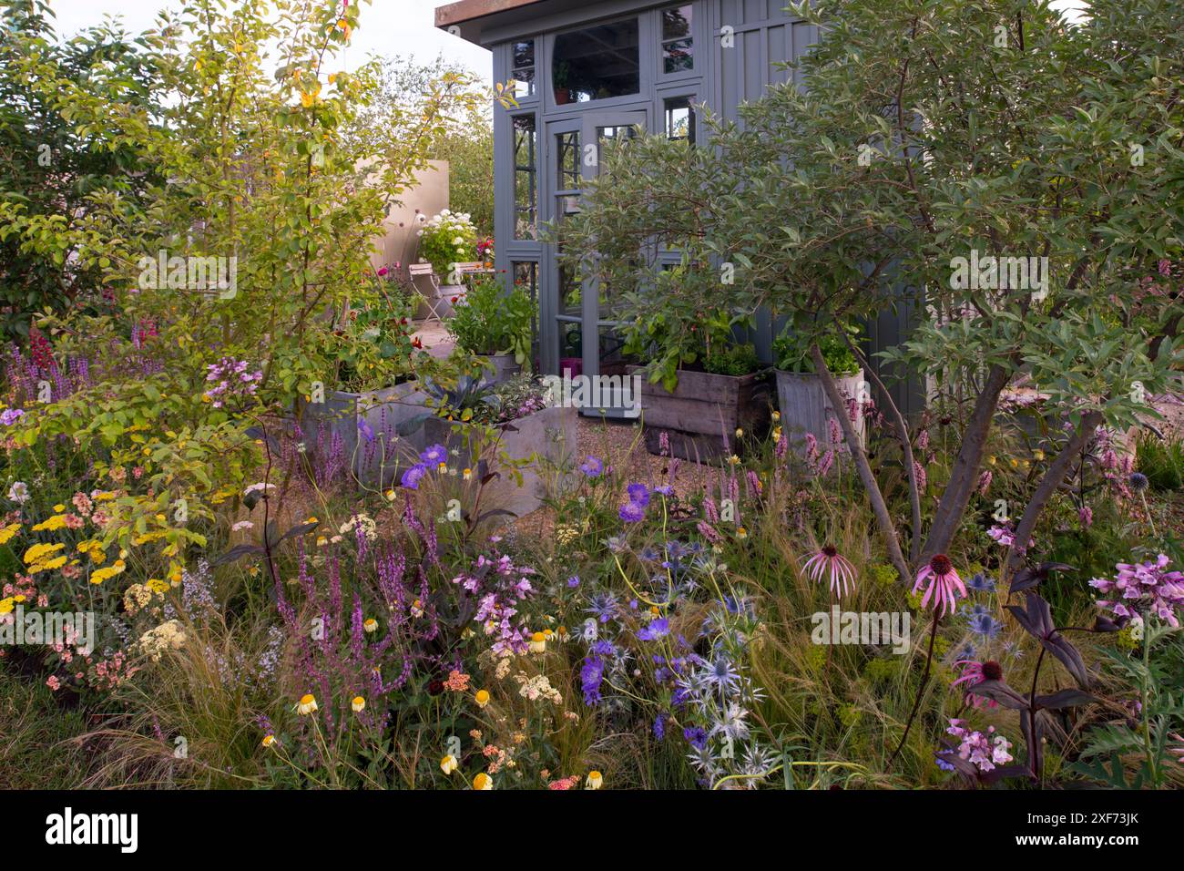 Herbaceous borders in the Peat-Free Garden, an RHS feature garden ...