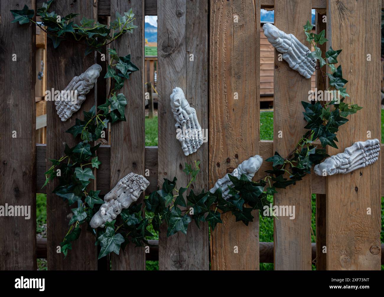 Skeleton fence hi-res stock photography and images - Alamy