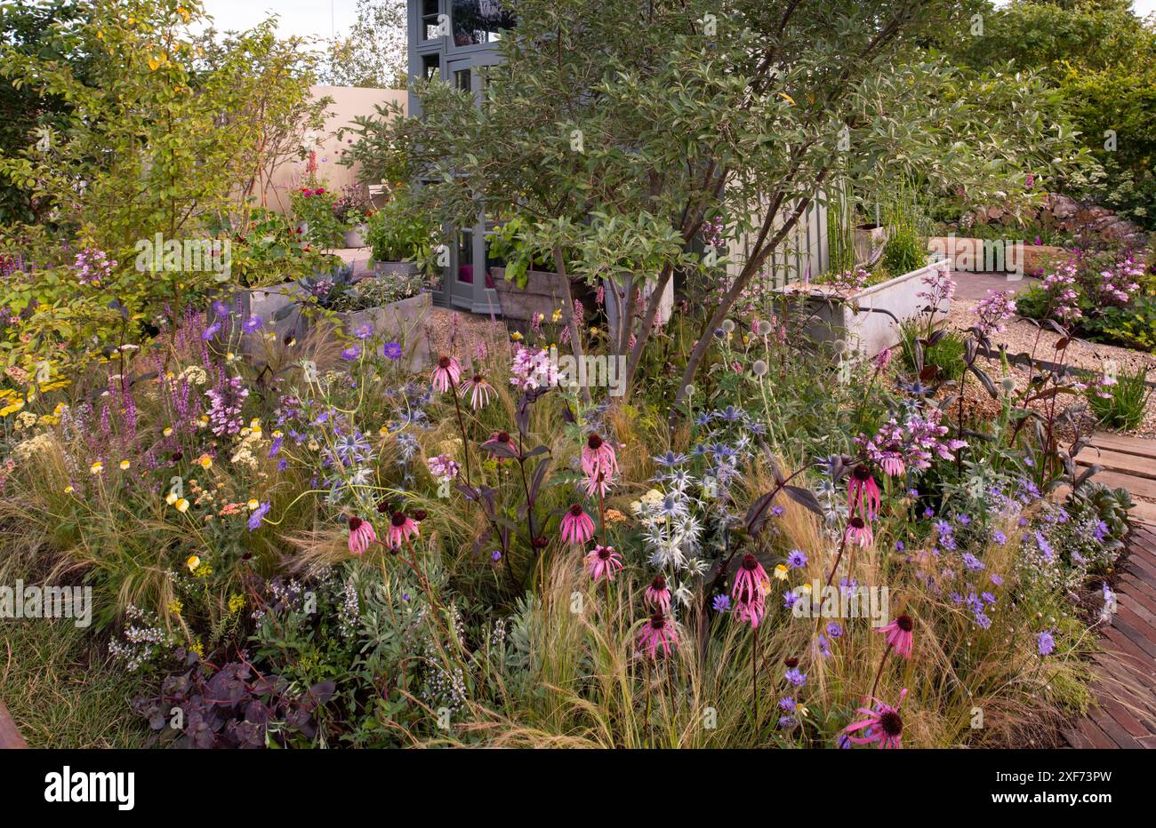 Herbaceous borders in the Peat-Free Garden, an RHS feature garden ...