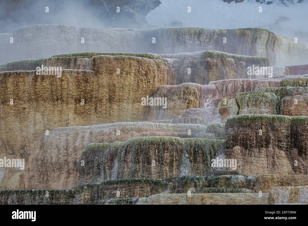 Travertine pools of Mammoth Hot Springs in Yellowstone National Park ...