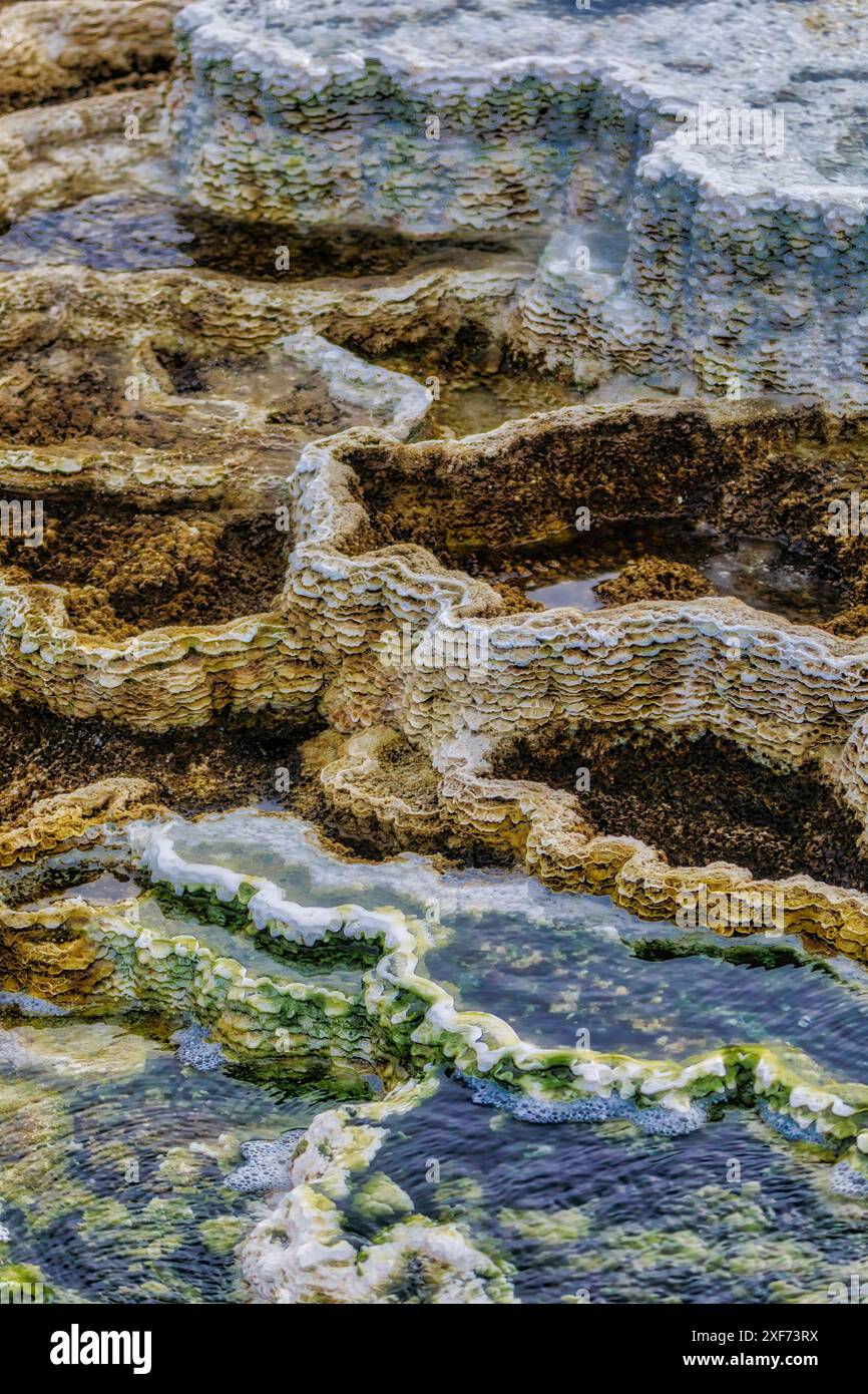 Travertine pools of Mammoth Hot Springs in Yellowstone National Park ...